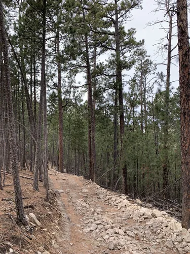 Best Horseback Riding Trails in Nemo | AllTrails