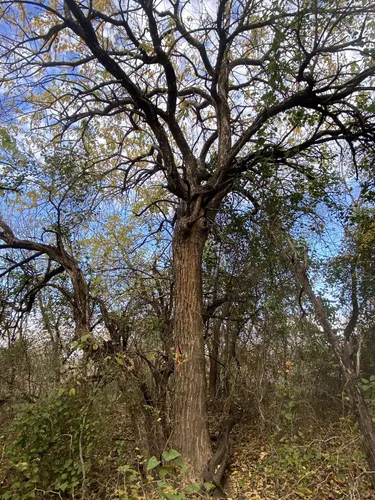 Best Hikes and Trails in Frisco | AllTrails