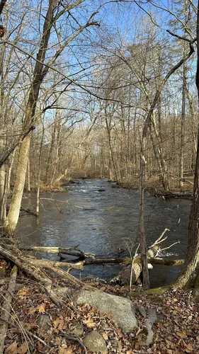 Best Hikes and Trails in Hackett Hill Park | AllTrails