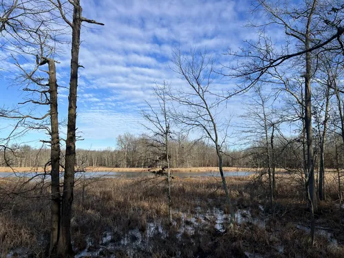 Best Hikes and Trails in Great Swamp National Wildlife Refuge | AllTrails