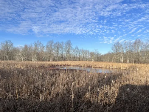 Best Hikes and Trails in Great Swamp National Wildlife Refuge | AllTrails