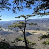 Tinker Cliffs via Andy Layne Trail, Virginia - 1,550 Reviews, Map ...