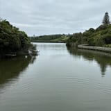 Orakei Basin Walkway, Auckland, New Zealand - 360 Reviews, Map | AllTrails