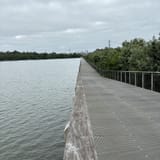 Orakei Basin Walkway, Auckland, New Zealand - 360 Reviews, Map | AllTrails