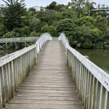 Orakei Basin Walkway, Auckland, New Zealand - 360 Reviews, Map | AllTrails