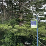 Orakei Basin Walkway, Auckland, New Zealand - 360 Reviews, Map | AllTrails