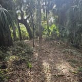 Carney Island Perimeter Loop, Florida - 231 Reviews, Map | AllTrails