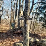 Whiteface Mountain, New Hampshire - 590 Reviews, Map | AllTrails