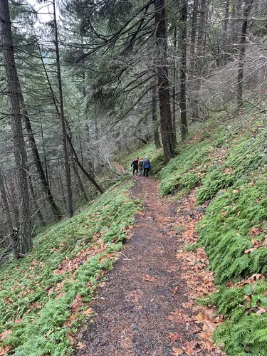 Best Partially Paved Trails in Cascade Locks | AllTrails