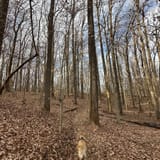 Cascade Falls Loop Trail , Maryland - 2,756 Reviews, Map | AllTrails