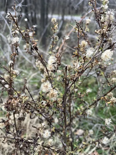 Best Hikes and Trails in Kelly Lane Park | AllTrails