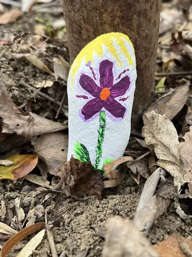 Best Hikes and Trails in Kelly Lane Park | AllTrails