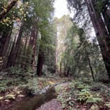 Bootjack Loop, California - 1,731 Reviews, Map | AllTrails