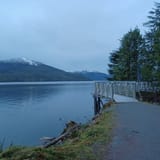 Rushbrook Trail, British Columbia, Canada - 126 Reviews, Map | AllTrails