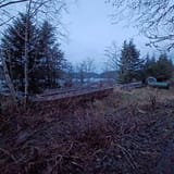 Rushbrook Trail, British Columbia, Canada - 126 Reviews, Map | AllTrails