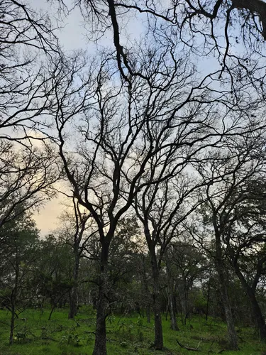 Best Hikes and Trails in Schulle Canyon Natural Area | AllTrails