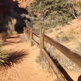 Johnson Canyon Trail, Utah - 893 Reviews, Map | AllTrails