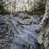 Bear Mountain Trail, Connecticut - 3,119 Reviews, Map | AllTrails