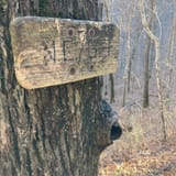 Blue Ridge Gap to Sharp Top, Georgia - 99 Reviews, Map | AllTrails