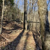 Blue Ridge Gap to Sharp Top, Georgia - 99 Reviews, Map | AllTrails