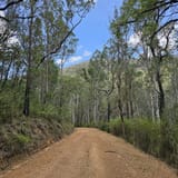 Couridjah Corridor Track, New South Wales, Australia - 45 Reviews, Map ...
