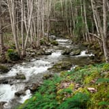 Rogue River Trail, Oregon - 416 Reviews, Map | AllTrails