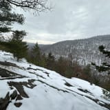 Moxham Mountain Trail, New York - 1,349 Reviews, Map | AllTrails