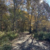 Bluff Point State Park and Coastal Reserve Trail, Connecticut - 3,383 ...
