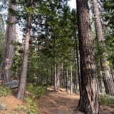 Emerald Point Trail, California - 1,283 Reviews, Map | AllTrails