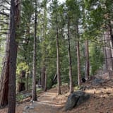Emerald Point Trail, California - 1,321 Reviews, Map | AllTrails