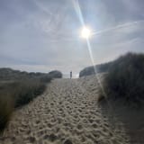Limantour Beach Trail, California - 361 Reviews, Map | AllTrails