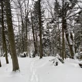 Butler Lodge Trail, Vermont - 517 Reviews, Map | AllTrails