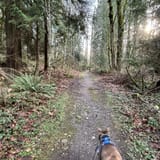 Echo Peak Loop Trail, Washington - 1,405 Reviews, Map | AllTrails
