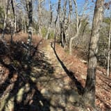 Upper Spring Loop Trail, Alabama - 119 Reviews, Map | AllTrails