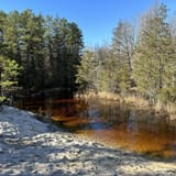 Batsto Lake Trail, New Jersey - 1,509 Reviews, Map | AllTrails