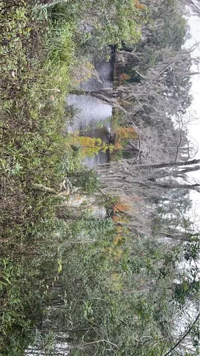 Best Hikes and Trails in Tenoroc Public Use Area | AllTrails