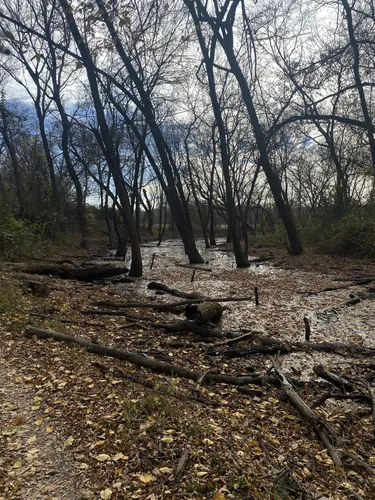 Best Hikes and Trails in Rowlett Creek Preserve | AllTrails
