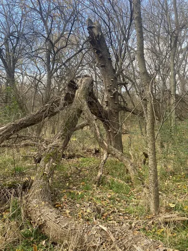 Best Hikes and Trails in Rowlett Creek Preserve | AllTrails