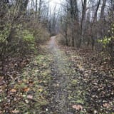 Rangeline Nature Preserve, Indiana - 547 Reviews, Map | AllTrails
