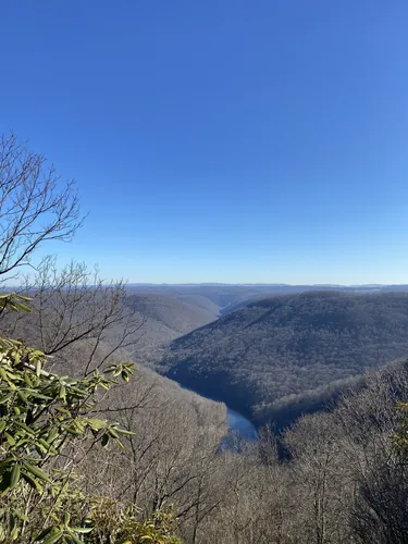 Best Hikes and Trails in Snake Hill Wildlife Management Area | AllTrails