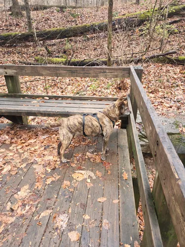 Best Hikes and Trails in Spring Mill State Park | AllTrails