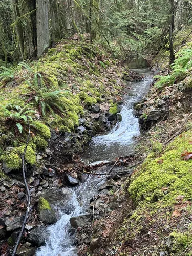 Best Easy Trails in Mount Work Regional Park | AllTrails