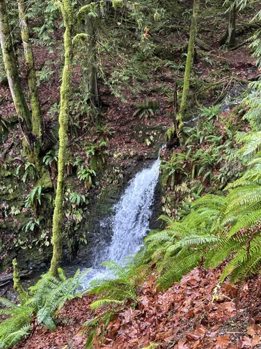 Best Easy Trails in Mount Work Regional Park | AllTrails