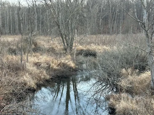 Best Hikes and Trails in Mike Levine Lakelands Trail State Park | AllTrails