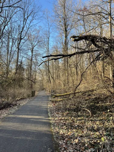 Best Walking Trails in Richmond | AllTrails