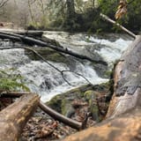 Kennedy Falls Trail , Washington - 847 Reviews, Map | AllTrails