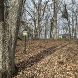 Deer Run Trail, Missouri - 822 Reviews, Map | AllTrails
