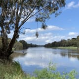 Barwon River Loop, Victoria, Australia - 483 Reviews, Map | AllTrails