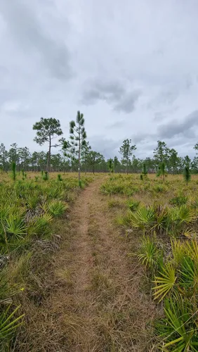 Best Hikes and Trails in Three Lakes Wildlife Management Area | AllTrails