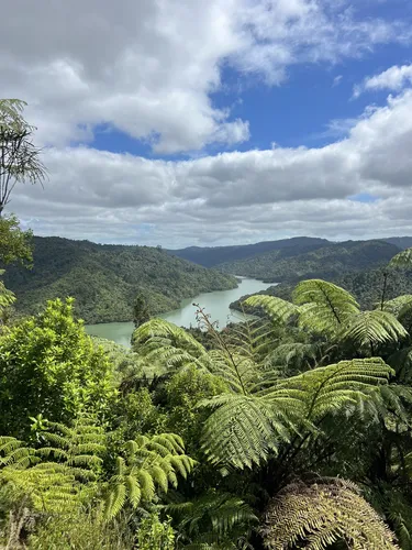 10 Best Hikes and Trails in Hunua Ranges Regional Park | AllTrails